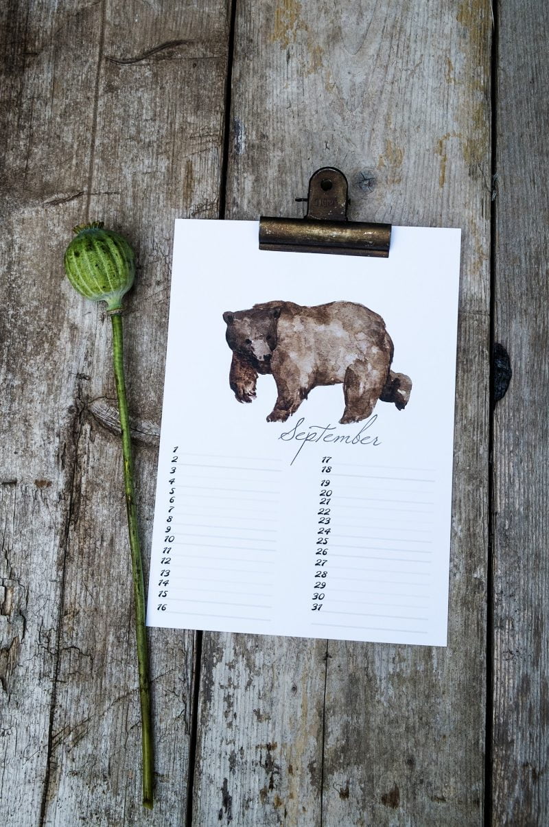 Free Birthday Calendar (verjaardagskalender) - nr. 9 September – ElsaRblog